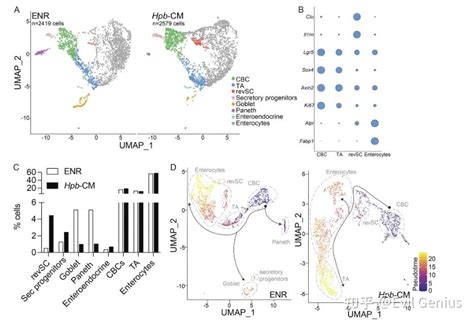单细胞轨迹分析之应用篇 知乎