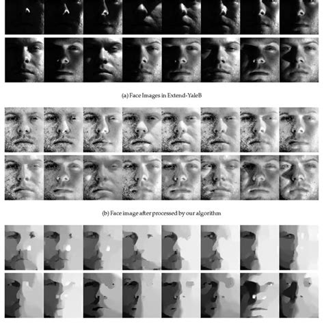 The Processing Result Of Our Algorithm Download Scientific Diagram