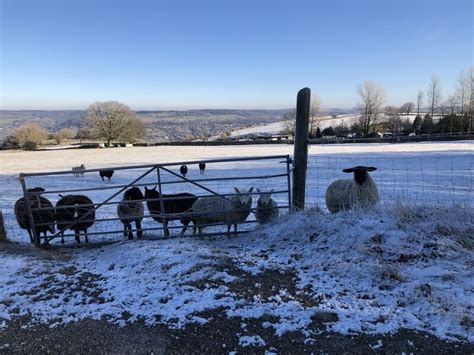 Caulmert Ltd Engineering Environmental And Planning On Linkedin Environmental