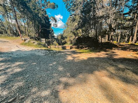Arvi Park In Medellin Breath Of Fresh Air