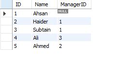 Consulta Recursiva De Mysql Delft Stack