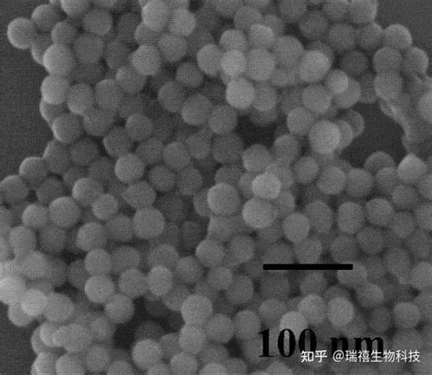 二氧化硅包埋金纳米棒复合粒子黑磷纳米颗粒四氧化三铁磁性纳米颗粒的应用 知乎