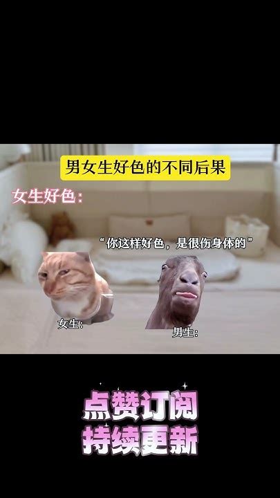 男女好色的不同後果小劇場 猫meme小剧场 搞笑 高能段子手 猫meme 沙雕剧情 内涵段子 Memes Catmeme Youtube