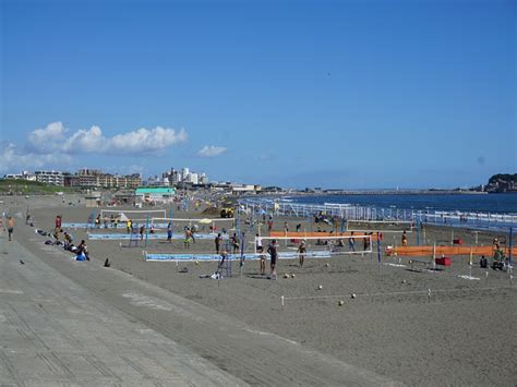 湘湘南より 湘南の俳句小屋 楽天ブログ