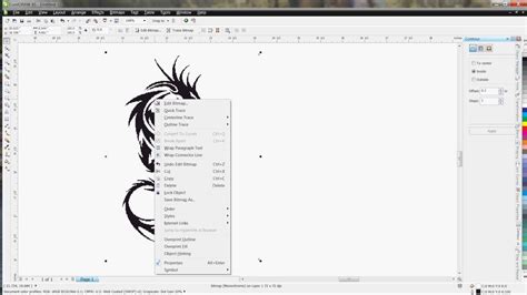 Corel Draw Trasparenza Bitmap Bewernj