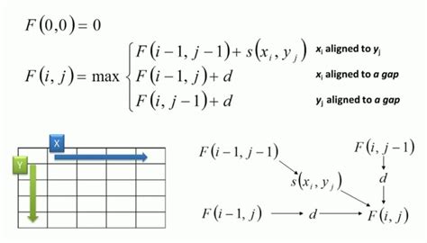 生物信息学（2）——双序列比对之smith Watermansw算法详解 程序员大本营
