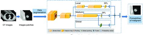 The Framework Of The Proposed Dl Model Ct Computed Tomography Dfl Download Scientific