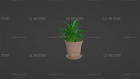 小草 花盆里的小草模型 草类模型库 Gltfgltfglb模型下载 Cg模型网