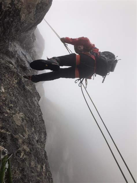 Spotlight Ross Williams Ohdsi