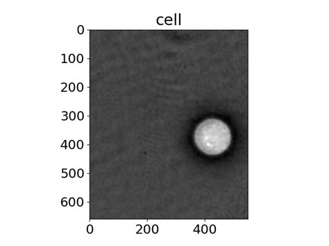 scientific images — skimage 0 22 0 documentation