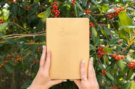 Commit30 Day Planner A Habit Focused Tool For The New Year Earn Commit30 Day Planner A Habit Focused Tool For The New Year Earn