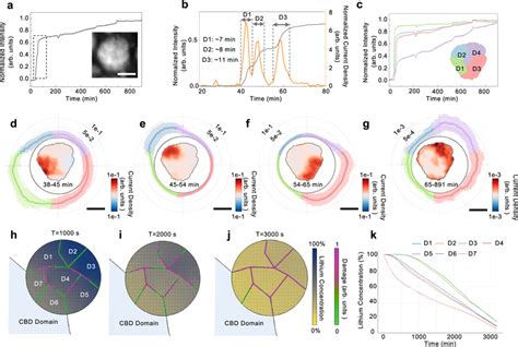 Heterogeneous Domain Activity Within An Nmc Particle A Optical