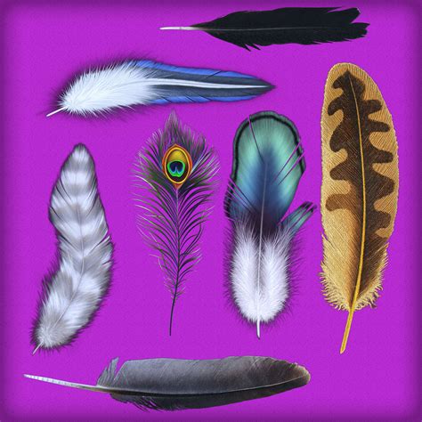 Tickling Feathers Set Updated Daz Content By Thedevian