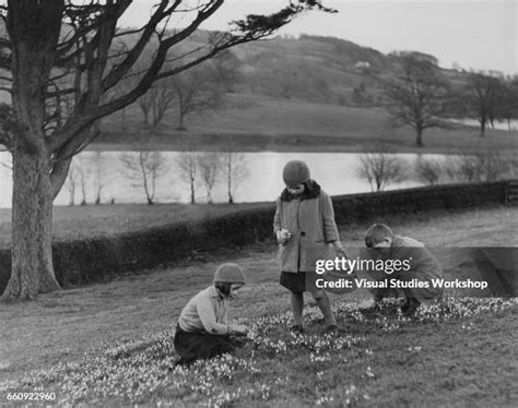 Hawkshead Photos And Premium High Res Pictures Getty Images