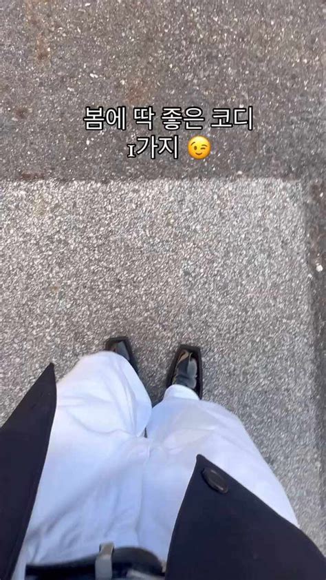 봄 준비 Kream