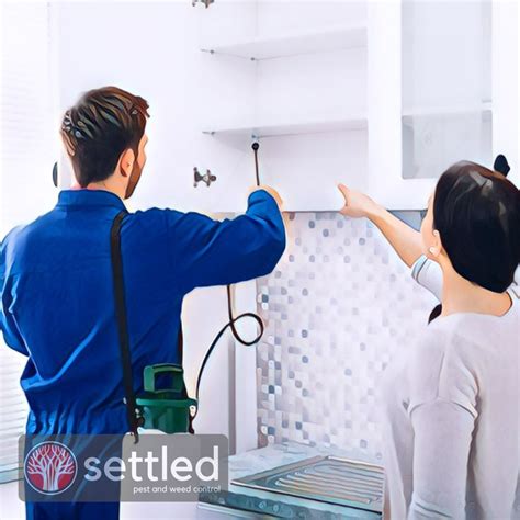 Cockroach Control Settled Pest And Weed Control Sydney