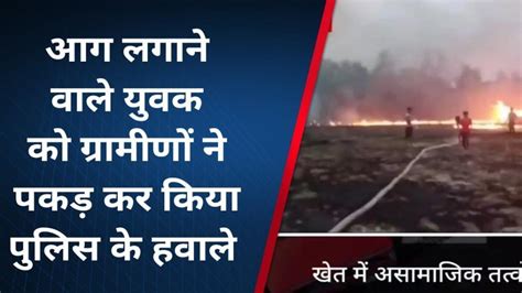 लखीसराय असामाजिक तत्वों ने खेत में लगाई आग फसल सहित बाग बगीचा जलकर हुआ राख Video Dailymotion