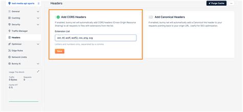 Optimizing Sports Websites Bunnycdn And Api Sports Image Storage Guide