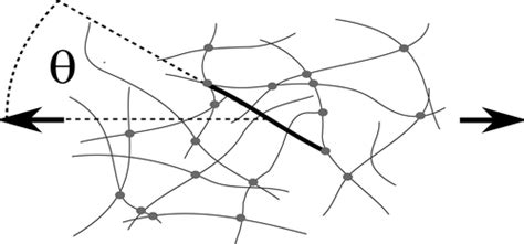 Stretching Semiflexible Filaments And Their Networks Macromolecules