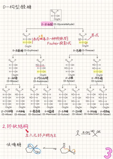 Lecture 29 1 单糖的结构特殊性 哔哩哔哩
