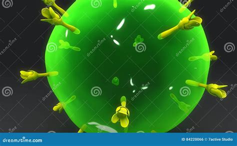 T Helper Cell Stock Illustration Illustration Of Dendritic