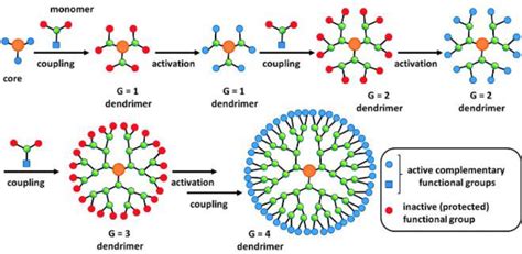 树枝状大分子砌块小分子大作用 百灵威