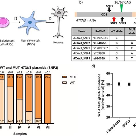 Snp Based Allele Specific Ddpcr Assays For Atxn3 Transcript A