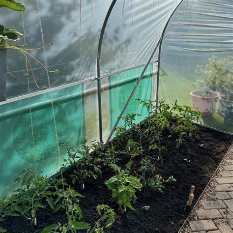 The EasyBuild Polytunnel Northern Polytunnels