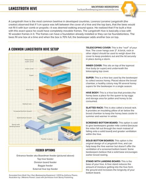 Common Langstroth Hive Setup Backyard Beekeeping