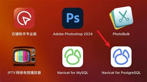 Navicat For Postgresql V1634 For Mac Postgresql 数据库管理和开发迈克库软件