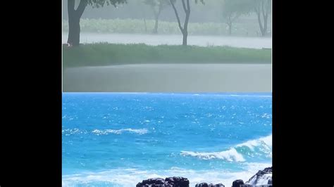 잔잔한 파도소리와 빗소리 숙면 The Sound Of Gentle Ocean Waves And Rain Deep Sleep