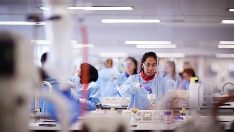 Read More About Our Four Pathways Kings College London