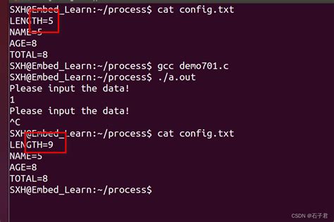 学习笔记——exec族函数详解（execl Execlp Execle Execv Execvp Execvpe ） Csdn博客
