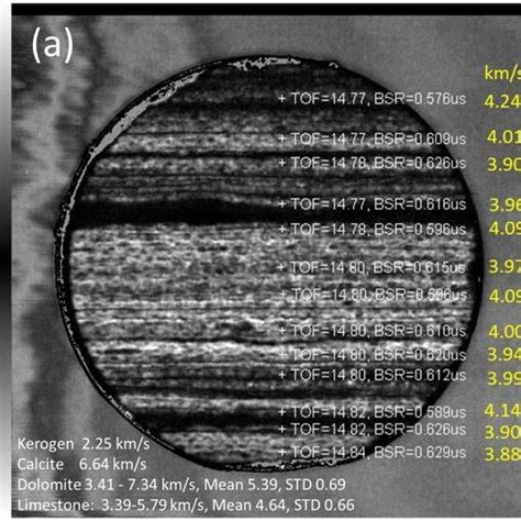 Eagle Ford Low Maturity Acoustic Microscope Velocity Measurements Time Download Scientific