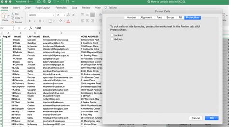 How To Unlock Cells In Excel Layer Blog
