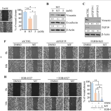 Yong Teng Professor Associate Phd And Msc Emory University Ga Eu Department Of