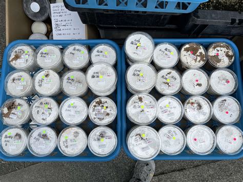 ポロロッカ足柄 神奈川県南足柄市のペットショップ