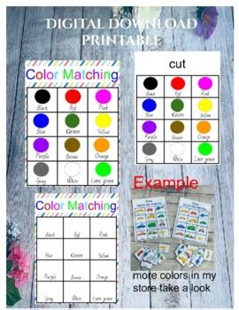 Matching And Sorting With Colors Cut Sort And Match Colors TPT