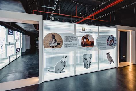 上癮的科學特展 Addition Decoding Our Brain Behance