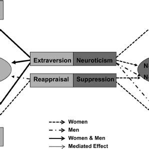 Summary Of The Main Findings Sex Related Differences Consistent With A Download Scientific
