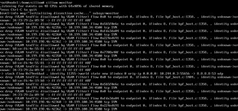 Cilium Chain的host Firewall模式 容器 大数据笔记 Cilium Chain的host Firewall模式 容器 大数据笔记