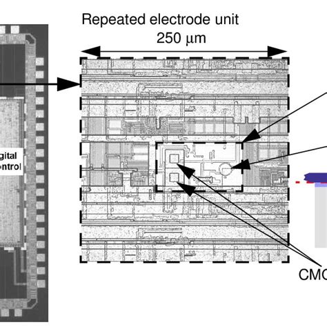 Micrograph Of The Electrode Array Chip Close Up And Electrode