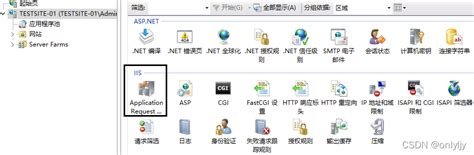 在window服务器使用iis部署vue项目实现跨域vue Iis 跨域 Csdn博客