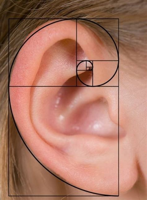 Main Qimg Ef E Eec E E Fd F Bb Pixels Geometry