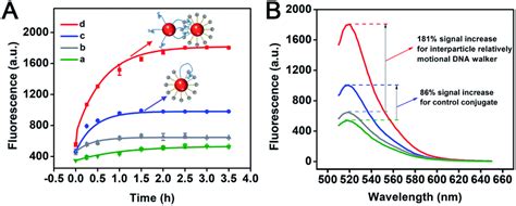 An Interparticle Relatively Motional Dna Walker And Its Sensing