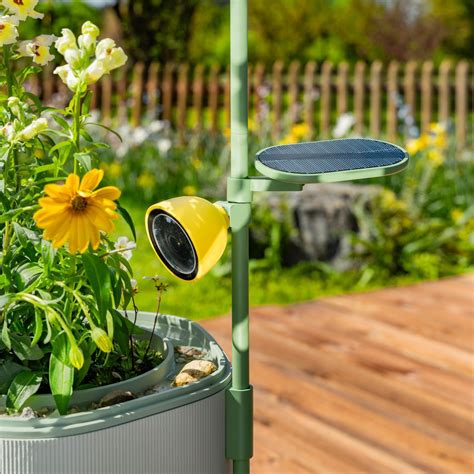 Seven Portable Ai Devices That Attempt To Give Shape To A New Technology