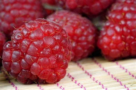 Raspberi Buah Buahan Makanan Foto Gratis Di Pixabay Pixabay