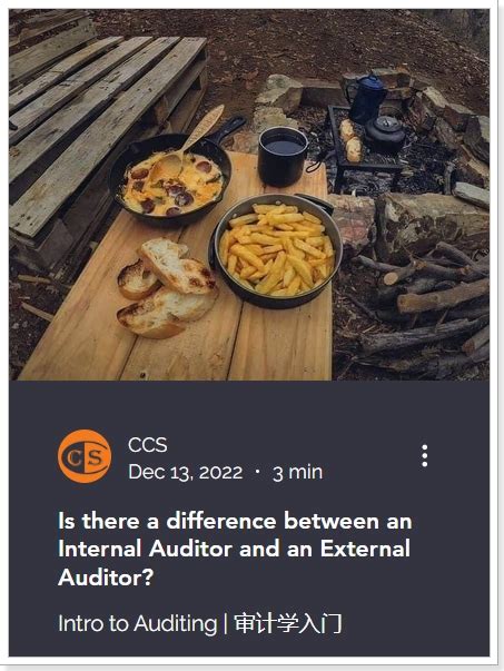 Ccs And Co Plt Is There A Difference Between An Internal Auditor And An External Auditor