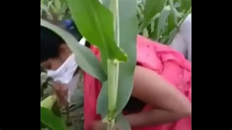 Indian Village Bhabhi Sex In Farm Xxx Mobile Porno Videos And Movies