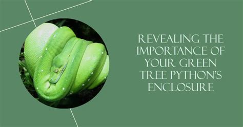 Green Tree Python Lifespan
